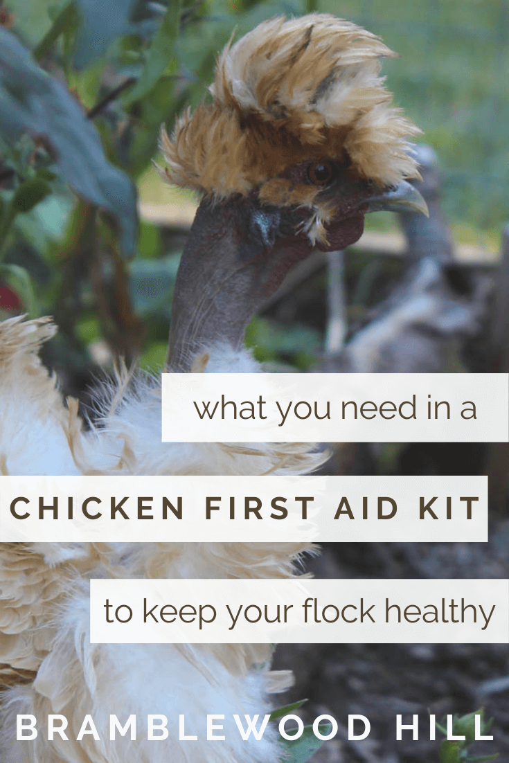 Chicken First Aid Kit - Bramblewood Hill