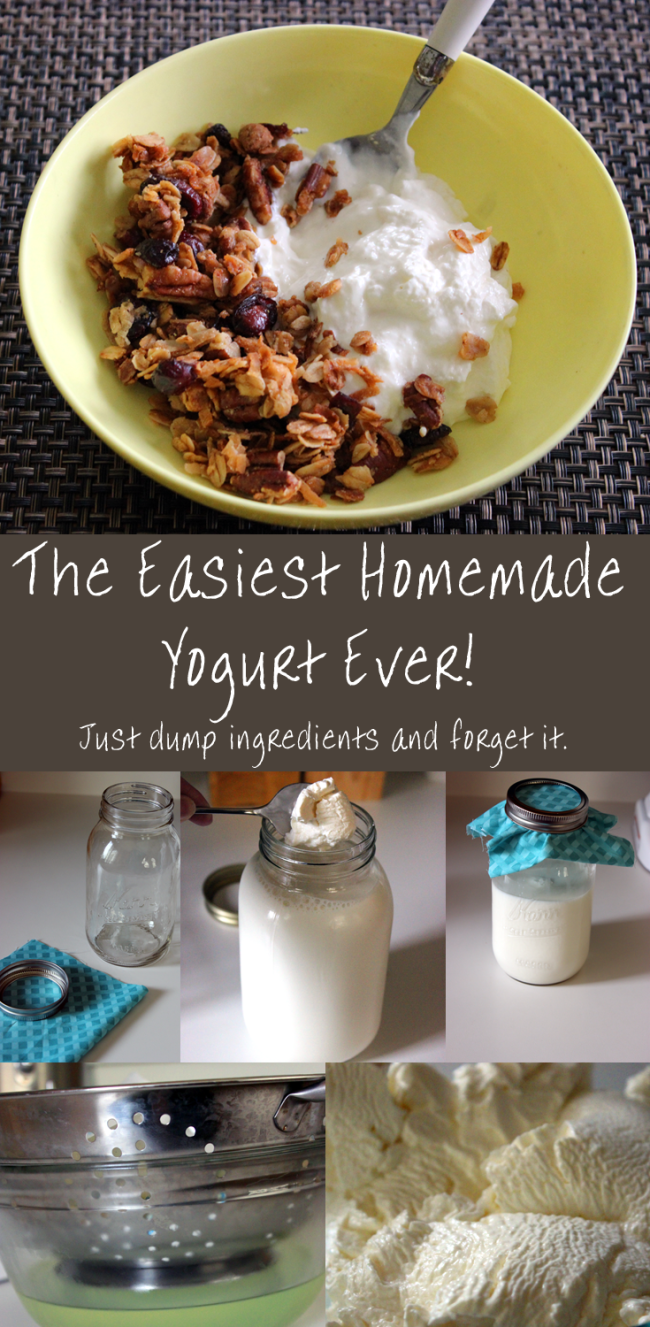 The Easiest Homemade Yogurt Ever - Bramblewood Hill