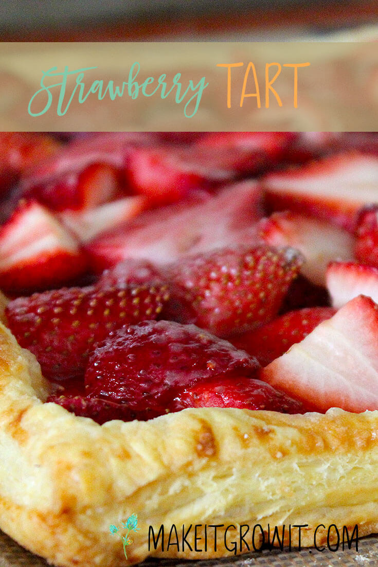 Strawberry Tart with Whipped Cream - Bramblewood Hill